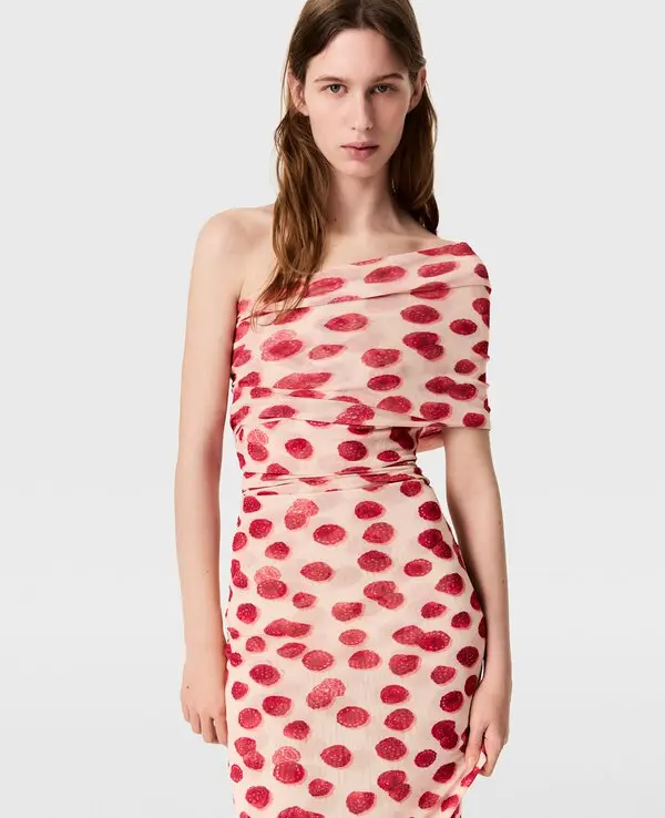 Stella McCartney Raspberry Print Mesh Maxi Dress
