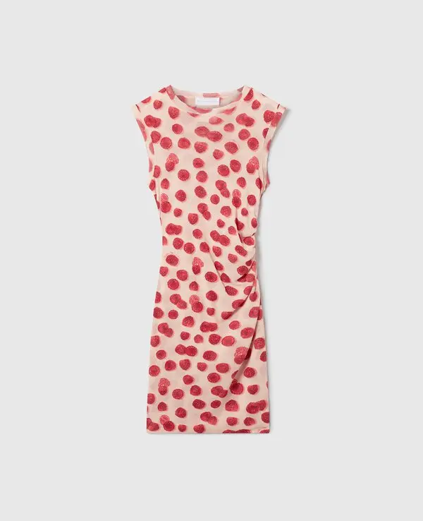 Stella McCartney Raspberry Print Mesh Mini Dress