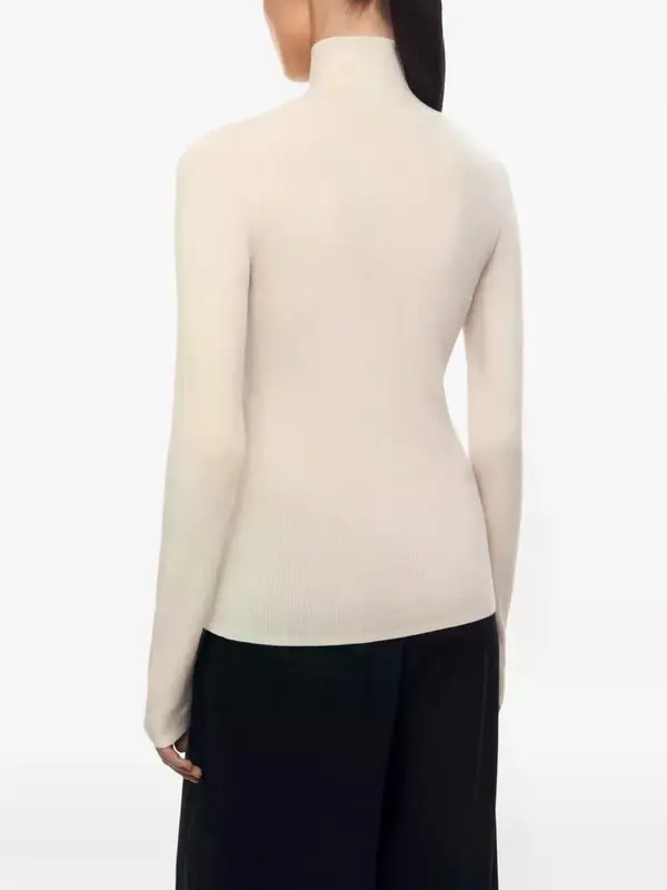 12 STOREEZ Ribbed Knit High Neck Sweater