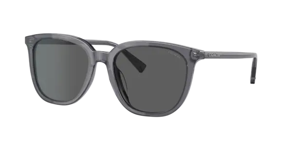 COACH Sunglass C8006