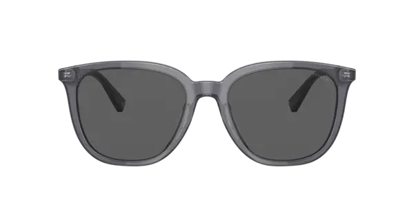 COACH Sunglass C8006