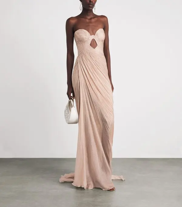 MARIA LUCIA HOHAN Strapless Draped Gown