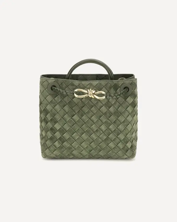 Bottega Veneta Andiamo Small Handbag