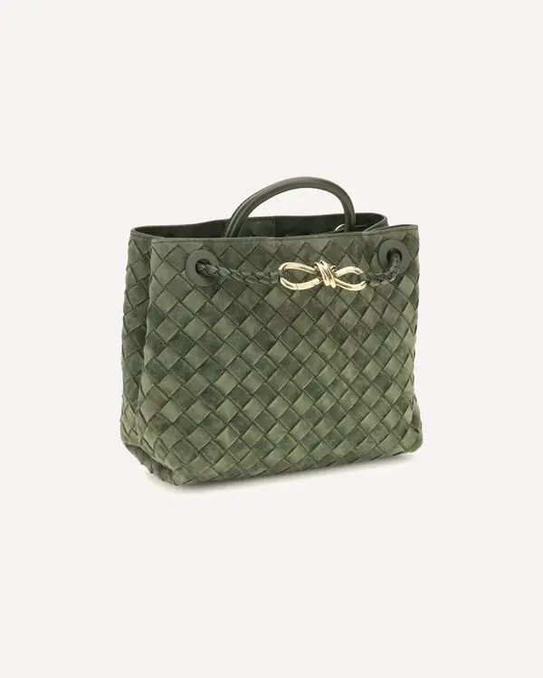 Bottega Veneta Andiamo Small Handbag