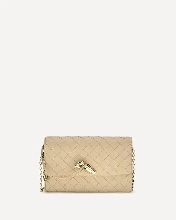 Bottega Veneta Andiamo Pouch On Chain