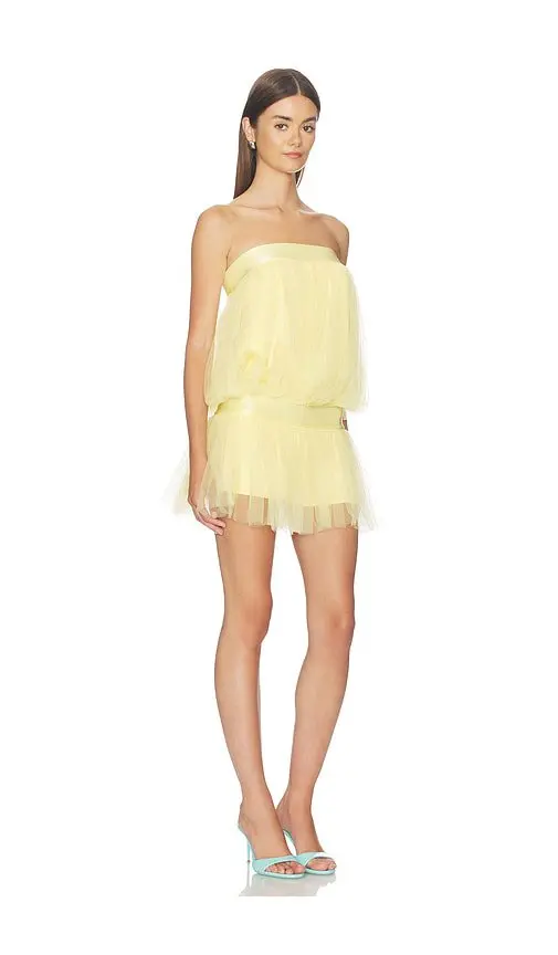 NIIHAI Tulle Mini Dress