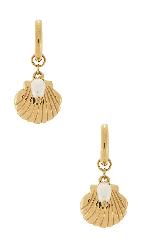 BRACHA Cove Earrings In Metallic Gold