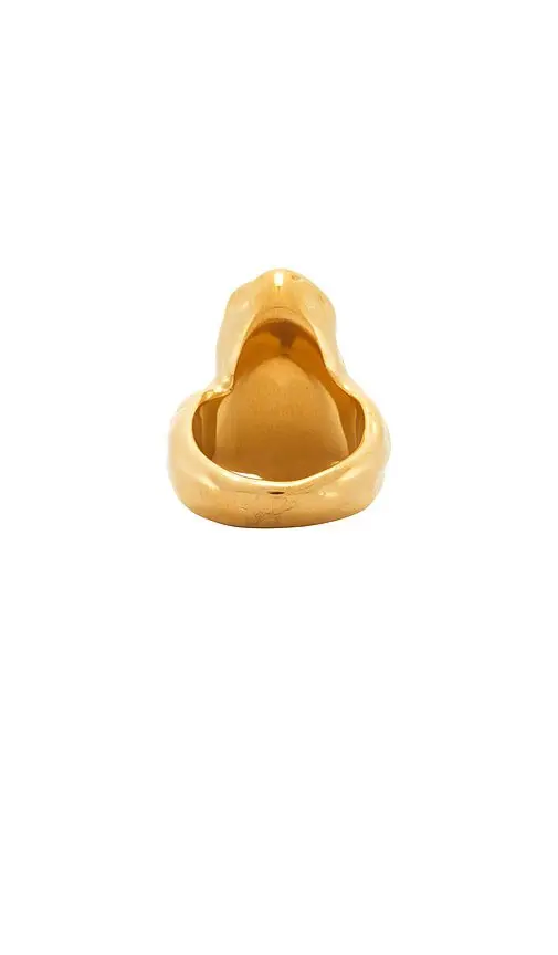 BRACHA The Form Ring In Metallic