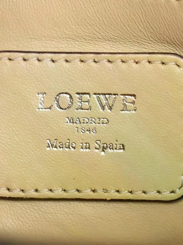 Loewe Tricolor Leather Amazona 28 Handbag
