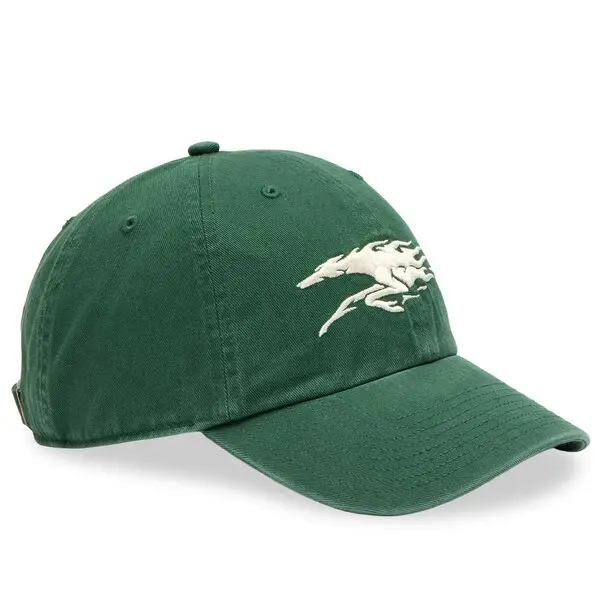 END. Whippet Clean Up Cap