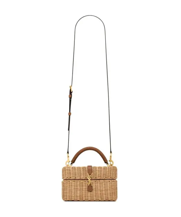 Saint Laurent Gaby Vanity Bag