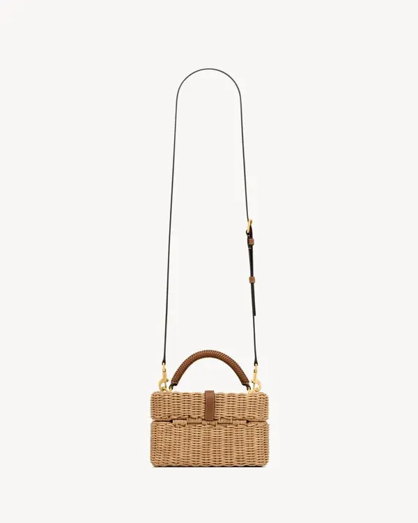 Saint Laurent Gaby Vanity Bag
