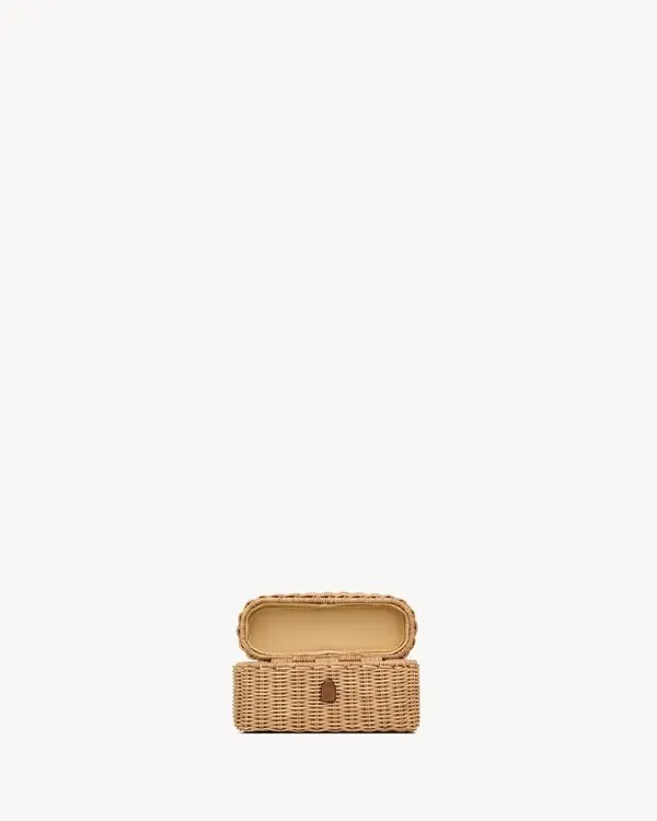 Saint Laurent Gaby Vanity Bag
