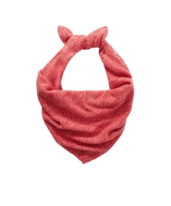 THE ELDER STATESMAN Cashmere Scarf - Red
