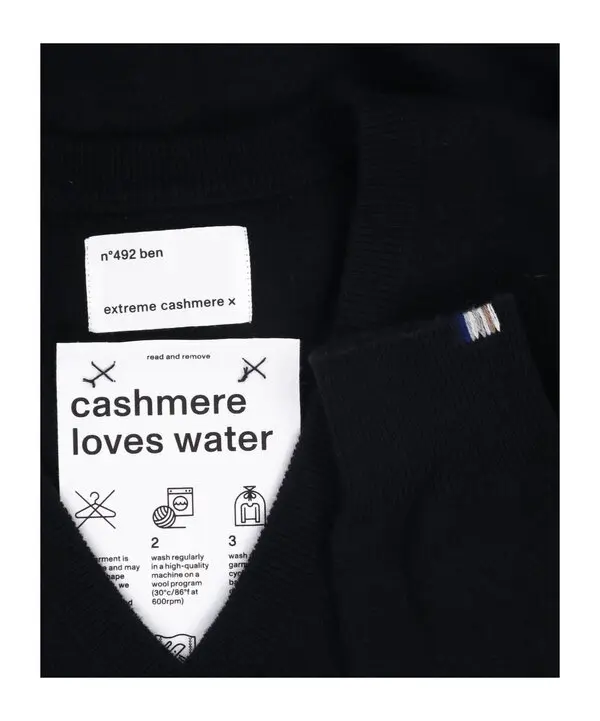 Extreme Cashmere V-neck Sweater