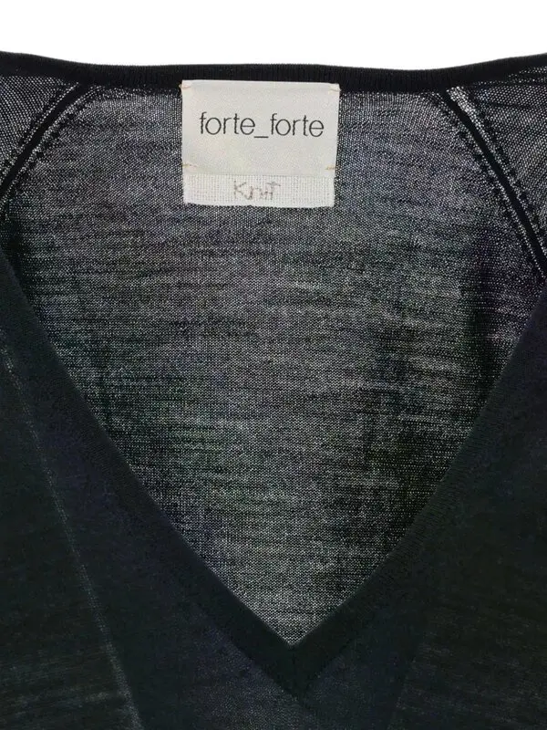 FORTE_FORTE V-neck Raglan-sleeve Sweater
