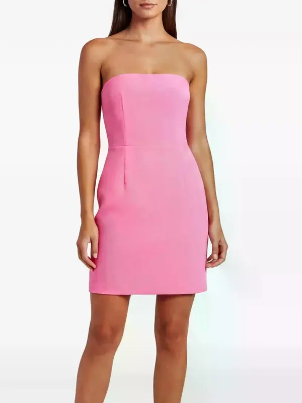 Alex Perry Strapless Mini Dress