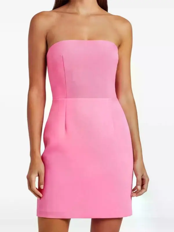Alex Perry Strapless Mini Dress