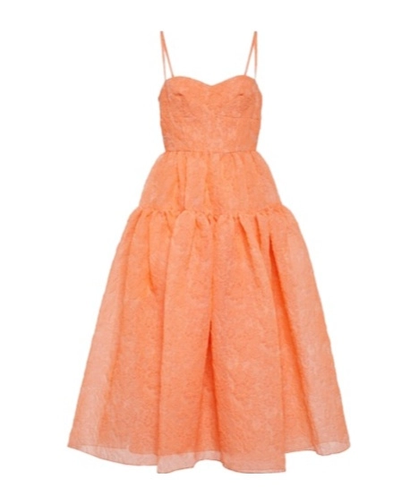 Erdem Abelia Organza Cloque Midi Dress