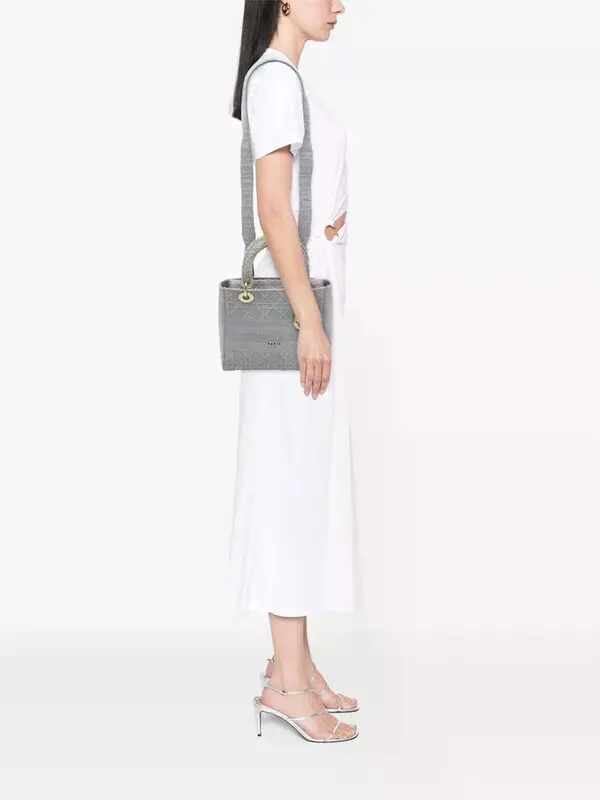 Dior Embroidered Canvas Cannage Lady D Lite Satchel - Grey