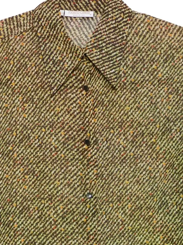 Roberto Cavalli 2000s Diagonal-stripe Silk Shirt