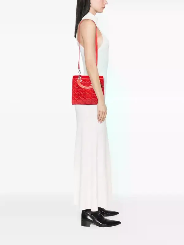 Dior 2012 Medium Patent Cannage Lady Satchel