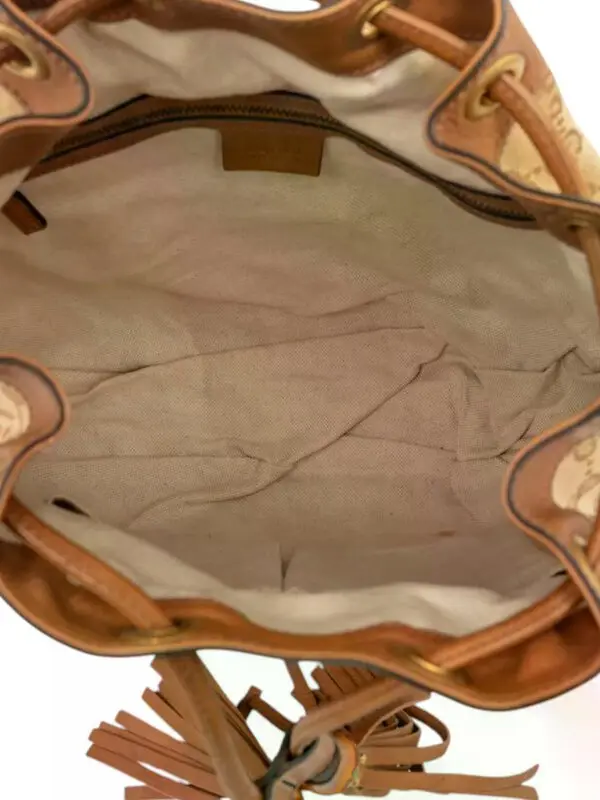 Gucci Gg Canvas Web Rania Drawstring Hobo Bag