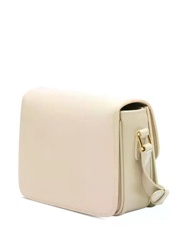 Celine 2024 Teen Shiny Calfskin Triomphe Crossbody Bag - Brown