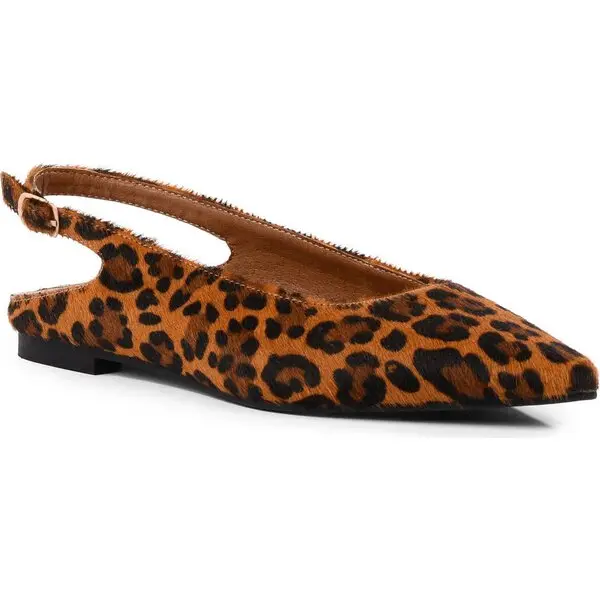 Seychelles Alameda Pointed Toe Slingback Flat - Leopard