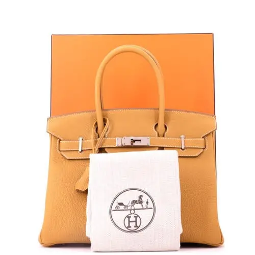 Hermès Birkin Handbag Light Togo With Palladium Hardware 30