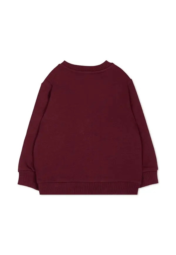 Balmain Logo-print Button-detail Sweater