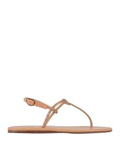 ANCIENT GREEK SANDALS Blush Thong Sandals - Pink