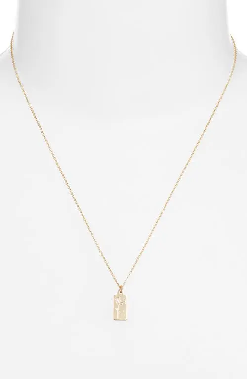 SET & STONES Tawney Birth Flower Pendant Necklace