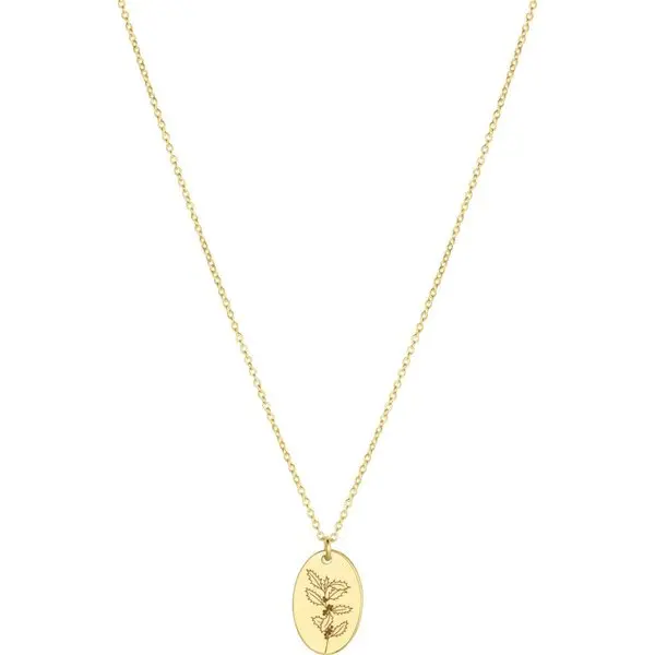 SET & STONES Louise Birth Flower Necklace - Gold/december