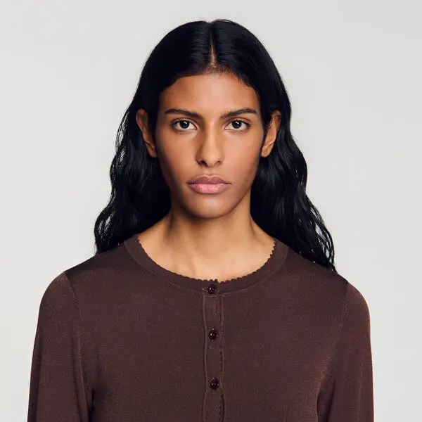 Sandro Sheer Knit Cardigan