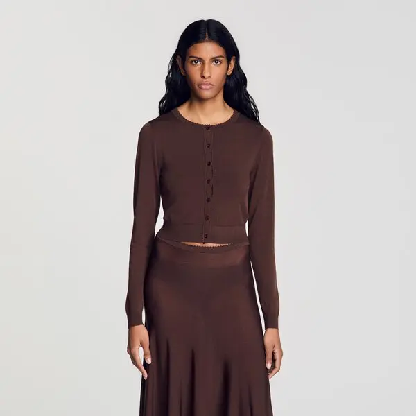 Sandro Sheer Knit Cardigan