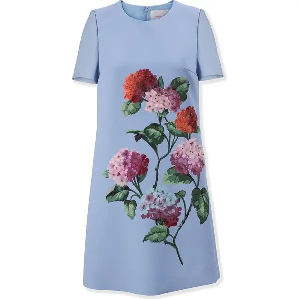 Carolina Herrera Sleeveless Embroidered Mini Dress - Cloudy Blue Multi