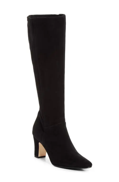 Manolo Blahnik Pitana Knee-high Suede Boots