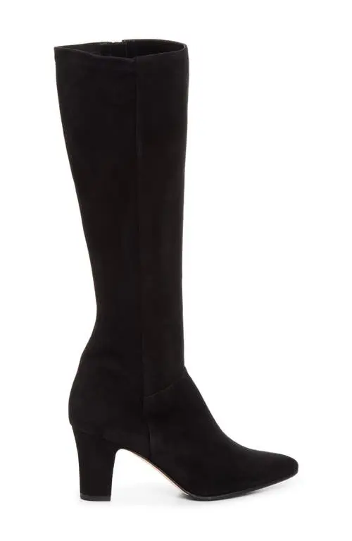 Manolo Blahnik Pitana Knee-high Suede Boots