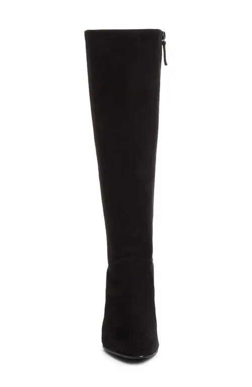 Manolo Blahnik Pitana Knee-high Suede Boots