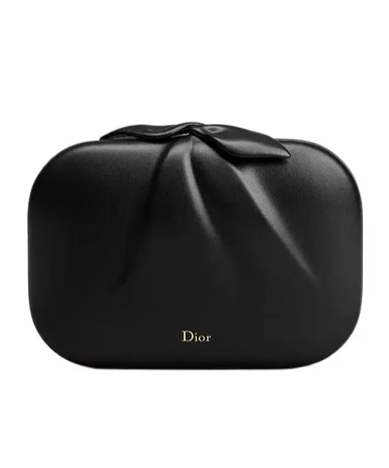 Dior Petit Dîner Bag