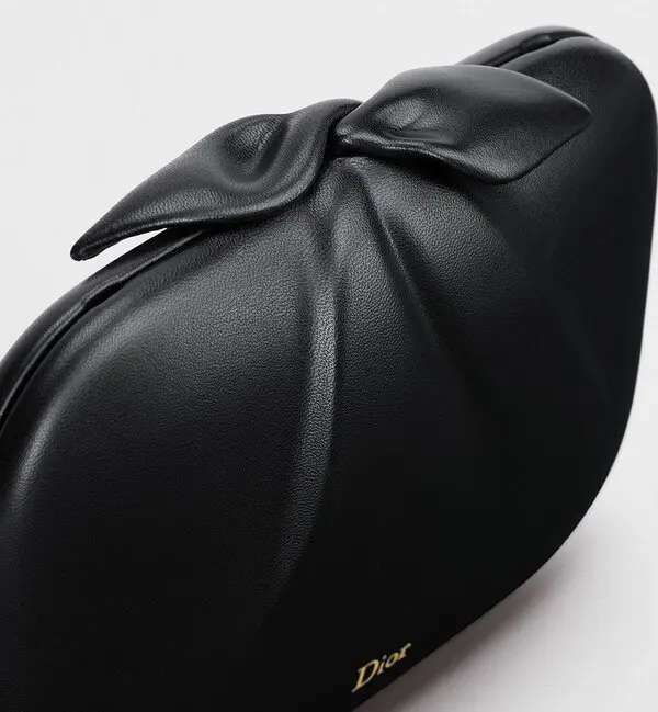 Dior Petit Dîner Bag