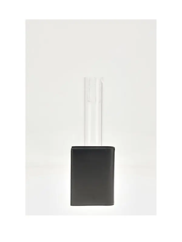 Celine Passport Cover