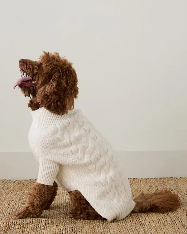 HAVEN WELL WITHIN Organic Cotton Dog Sweater