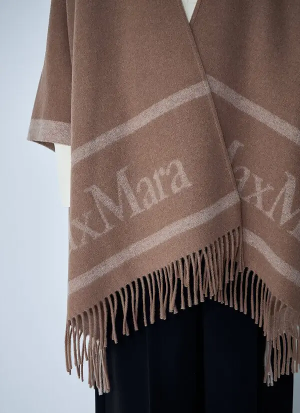 Max Mara Hilde Logo Motif Scarf - Multicolor