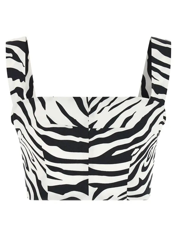 Dolce & Gabbana Zebra Print Cropped Bustier Top - Multicolor