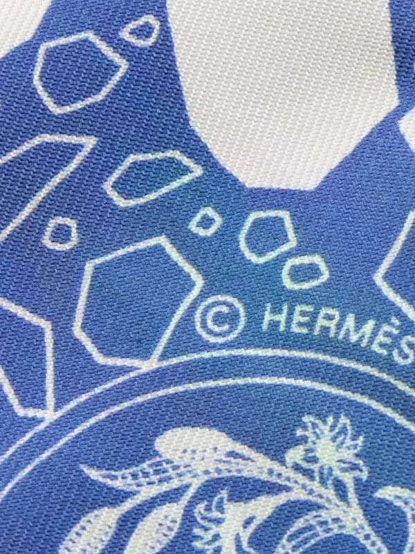 Hermès 2010s La Danse Des Amazones Scarf - Blue