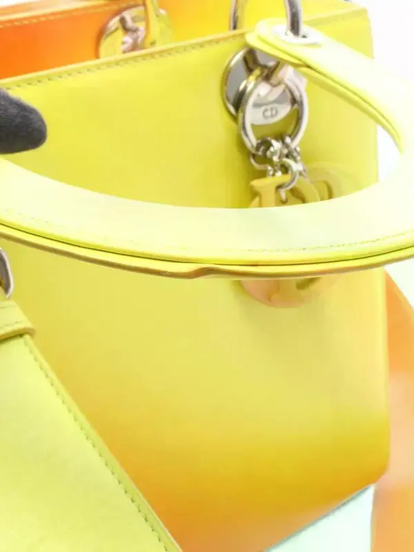 Dior 2010s Lady Gradation Handbag