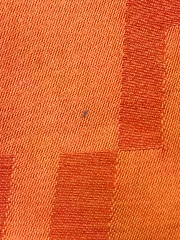 Hermès 2010s H Logo Scarf