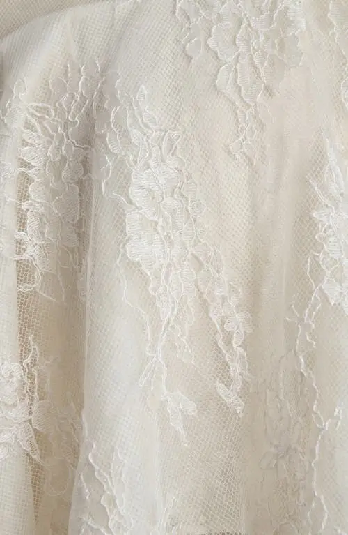 MODENAIRE Lace Overlay Crop Top